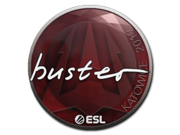 All Katowice 2019 Minor Challengers Autograph Capsule Stickers ...