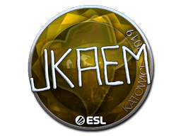 All Katowice 2019 Minor Challengers Autograph Capsule Stickers ...