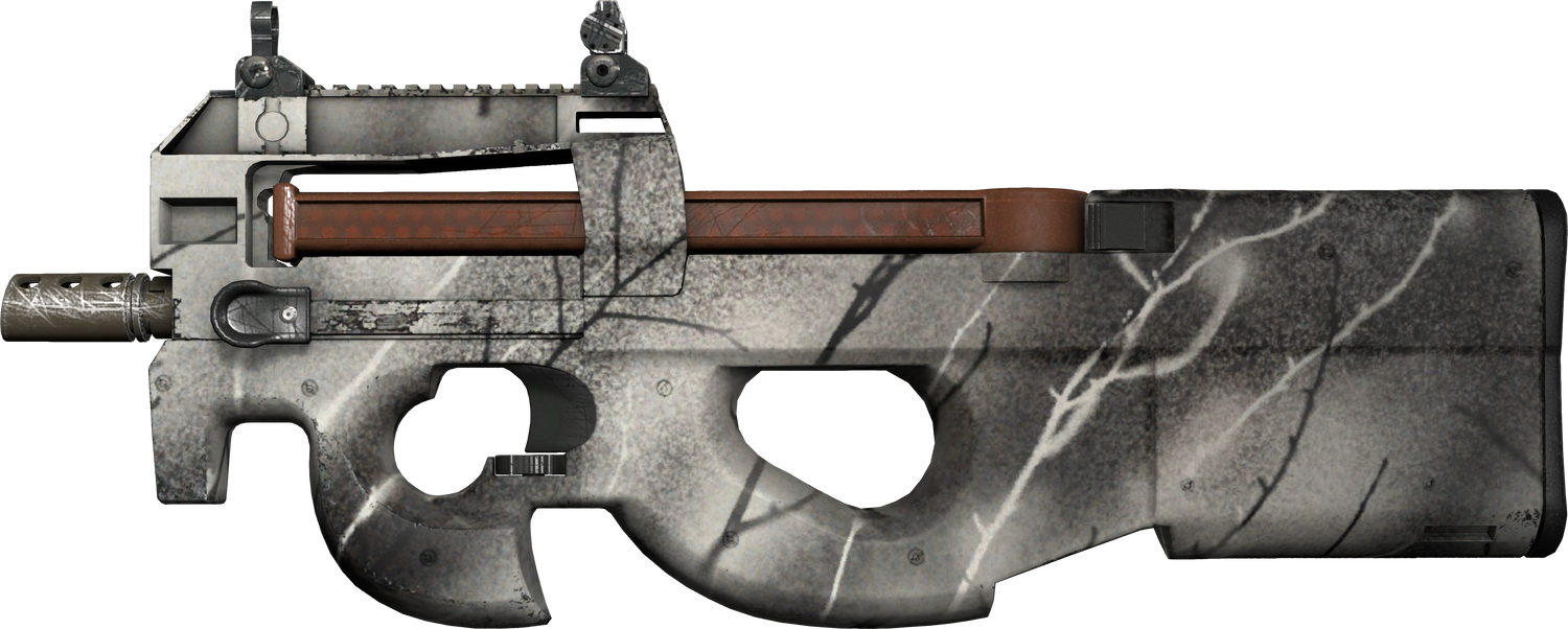 P90 | Ash Wood - CSGOSKINS.GG