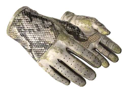 Driver Gloves | King Snake - CSGOSKINS.GG