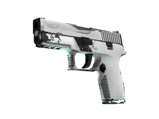 P250 | Whiteout - CSGOSKINS.GG